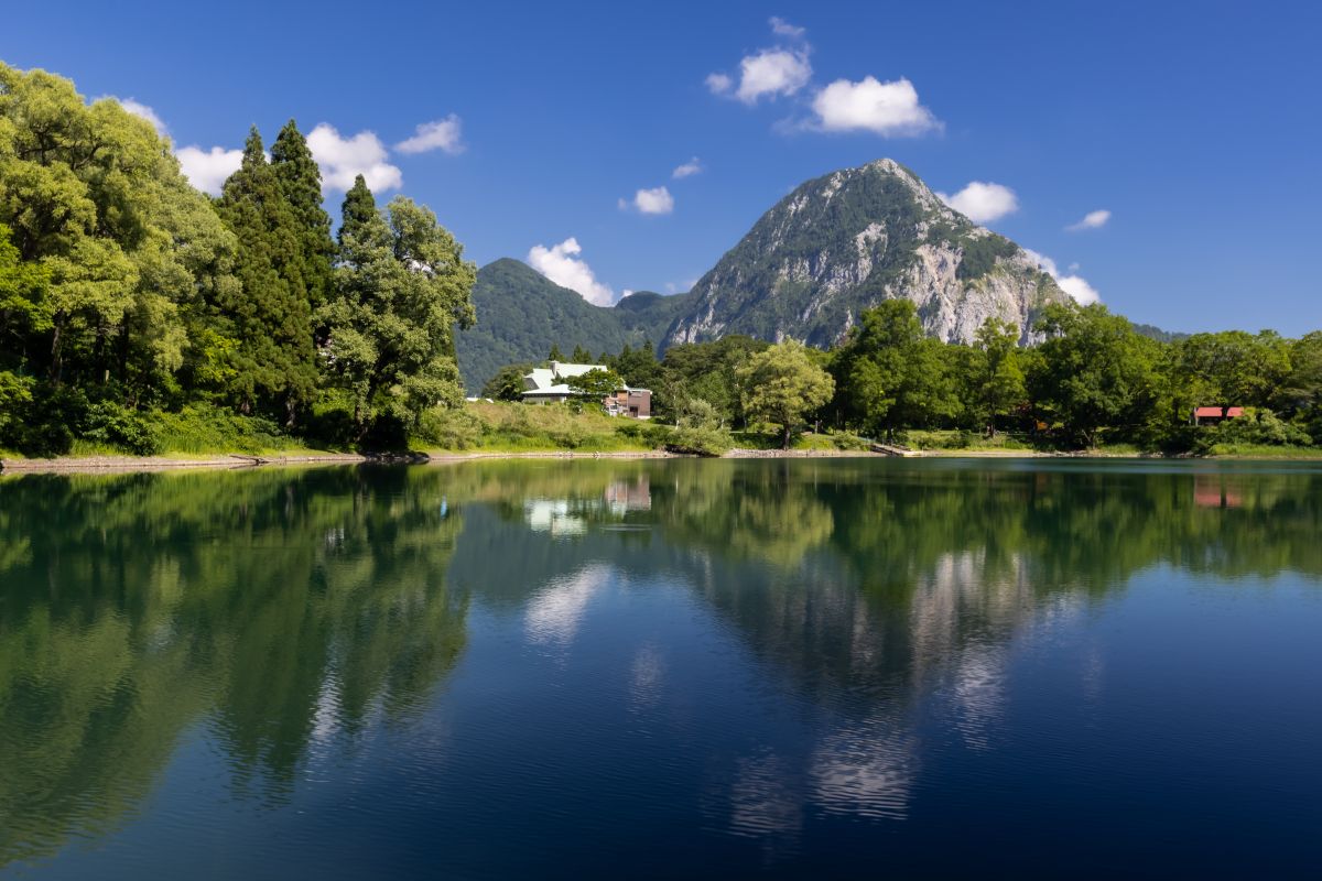 Takanami-no-Ike Pond｜What to See & Do｜Enjoy Niigata