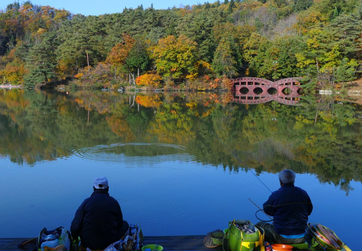 Ohira Forest Park｜What to See & Do｜Enjoy Niigata