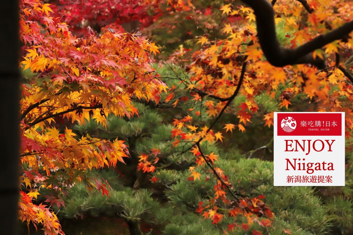 新潟四季景點指南！春夏秋冬推薦景點8選｜特輯｜暢享新潟