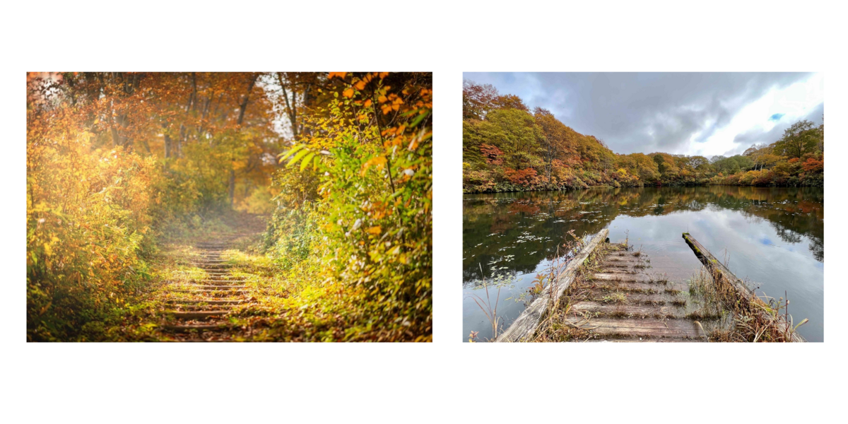 JOETSU AREA～Shin-Etsu trail(By Jing Cheinhui)～｜Features｜Enjoy Niigata